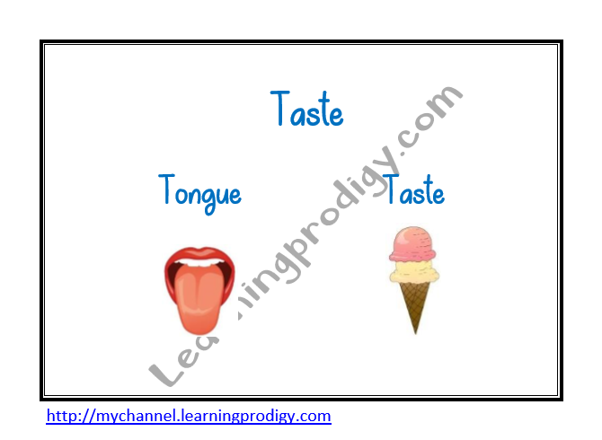 Sense Organs Flashcards for Preschoolers | Nursery |Kids ...