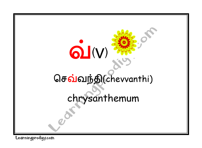 Tamil Arichuvadi Flashcards for Preschoolers|Tamil Alphabets Flashcards ...