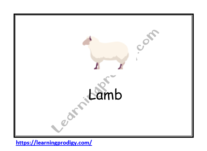Free Printable Spring Theme Vocabulary Flashcards| Spring Pictures Word ...
